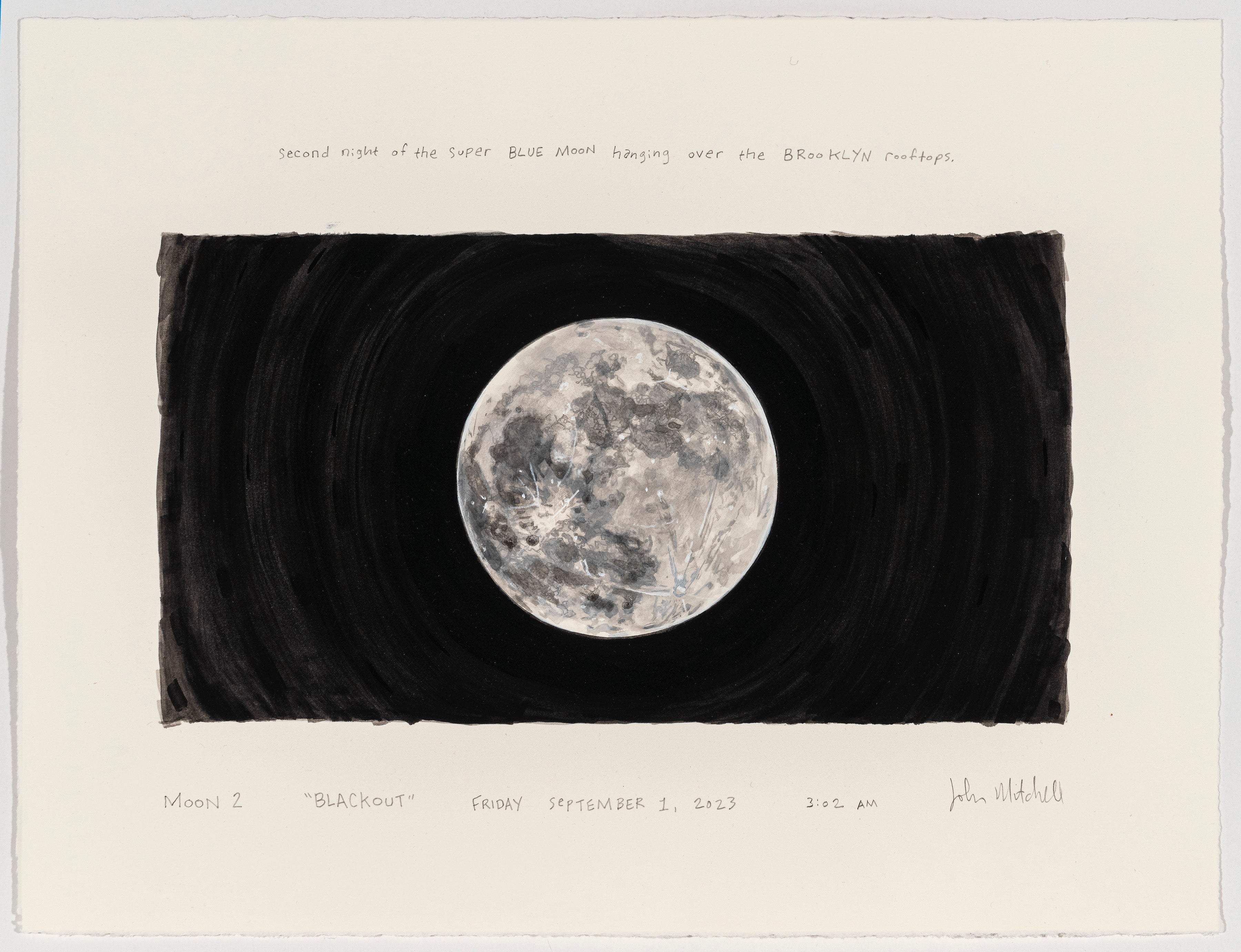 John Mitchell – Planthouse