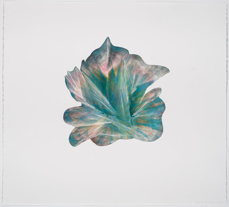 Rachel Ostrow | Tesseracts 2024 – Planthouse