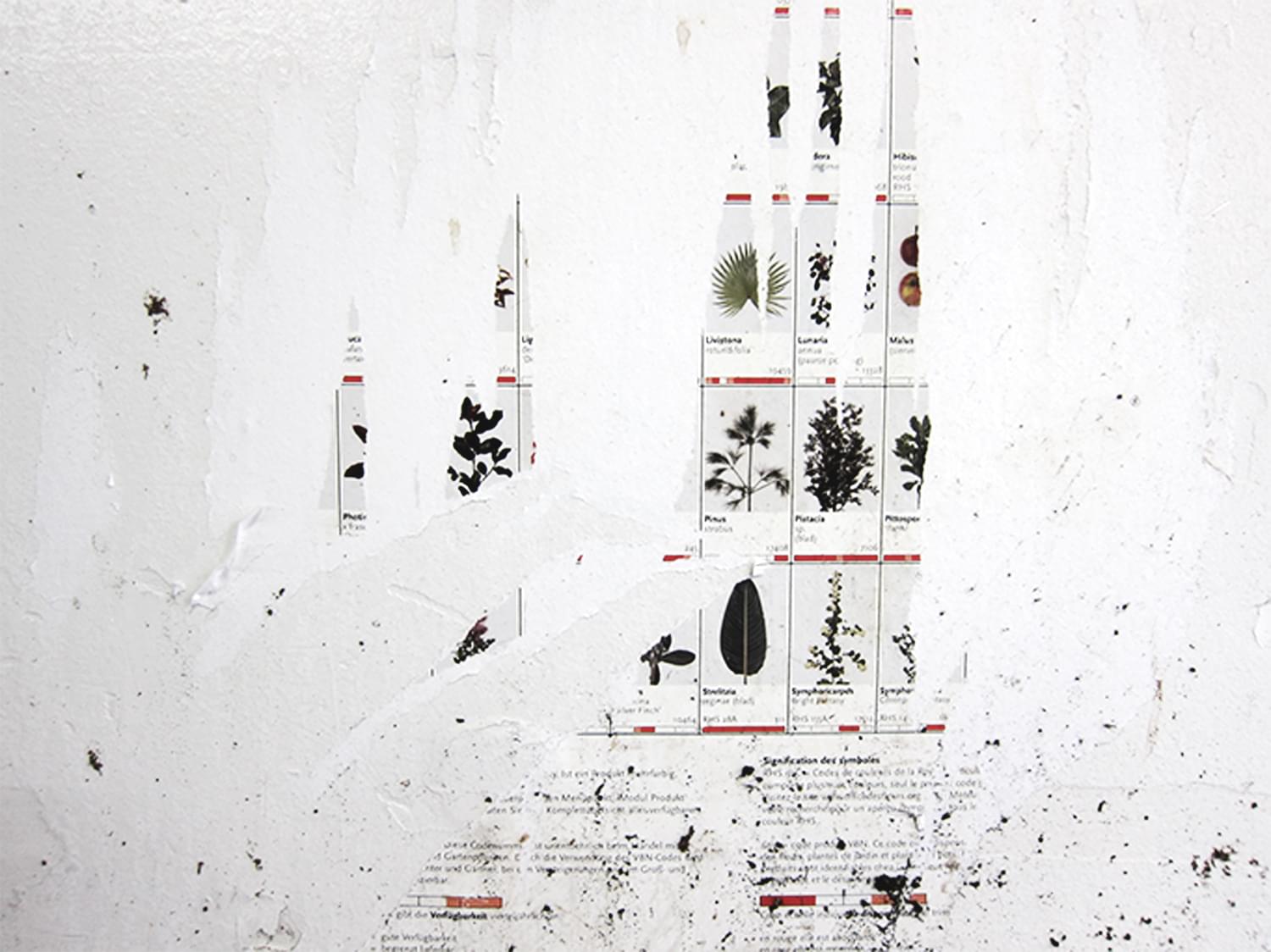 Matt Magee – Planthouse